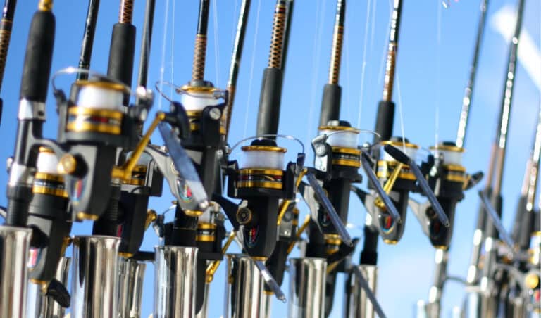 Best Fishing Rods: The Top 20 List | ListsForAll.com