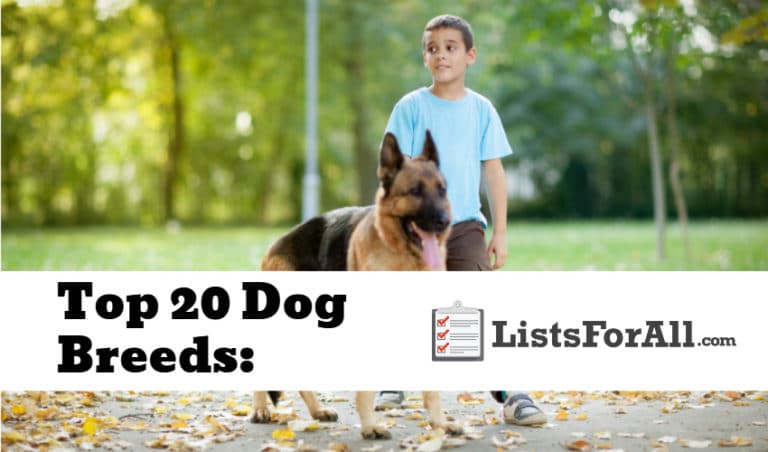 Best Dog Breeds: The Top 20 List - ListsForAll.com