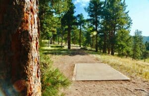 Best Disc Golf Courses in the USA: The Top 15 List - ListsForAll.com