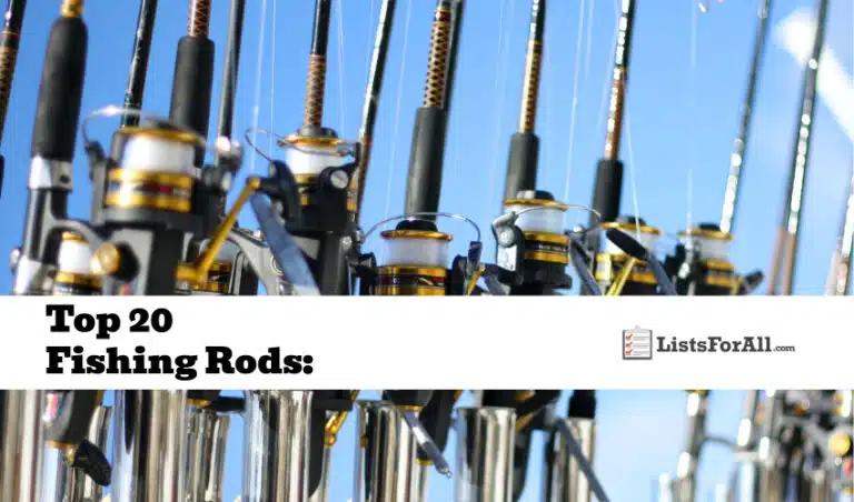 Best Fishing Rods: The Top 20 List - ListsForAll.com