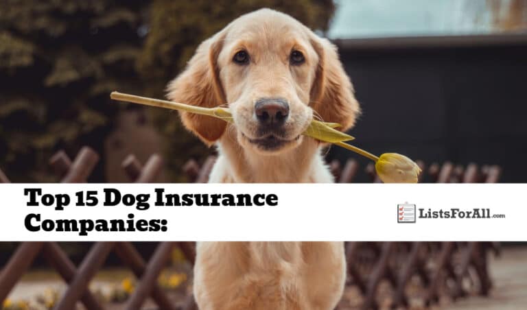 Best Dog Insurance Companies: The Top 15 List - ListsForAll.com