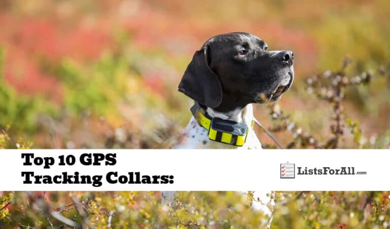 Best GPS Tracking Collars: The Top 10 List - ListsForAll.com